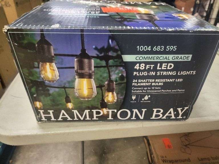 Hampton Bay Outdoor/Indoor 48 Ft. Plug-in Edison Bulb String Light ...