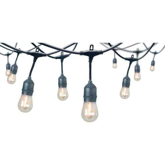 12-Light Indoor/Outdoor 24 ft. String Light with S14 Single Filament ...