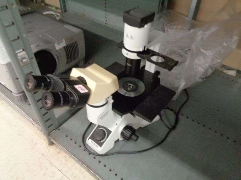 1 EACH-OLYMPUS CKX41 MICROSCOPE - Matthews Auctioneers
