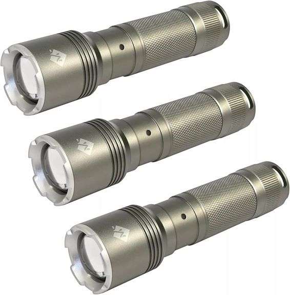Member's Mark 600 Lumen LED Flashlight Set (Pack of 3) - Matthews ...