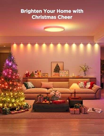 Govee Smart Ceiling Light, RGBIC LED Ceiling Light Fixture, 2400LM ...