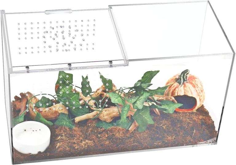 NANEEZOO Acrylic Reptile Terrarium Enclosure, 14 x6 x8 Tarantula ...