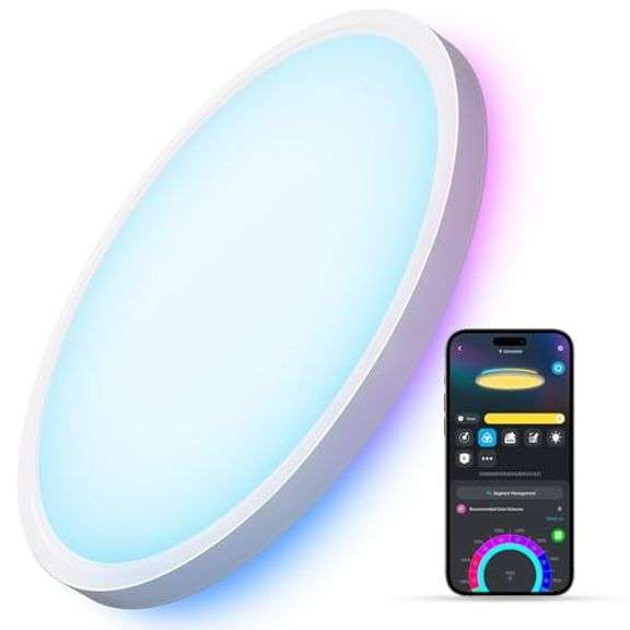 Govee Smart Ceiling Light, RGBIC LED Ceiling Light Fixture, 2400LM ...