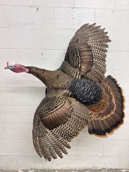 Mounted Wild Turkey Display - Matthews Auctioneers