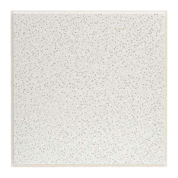 USG Ceilings 2 ft. X 2 ft. Radar White Shadowline Tapered Edge Lay-In ...