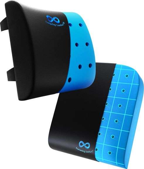 Everlasting Comfort Wheelchair Cushion & Lumbar Support Pillow Bundle ...