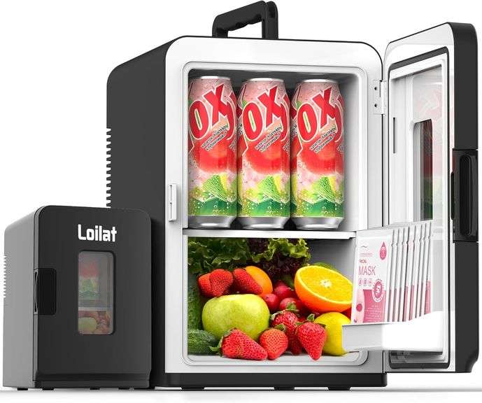 15L Mini Fridge for Bedroom Portable 110V AC/12V DC Small Mini Fridge ...