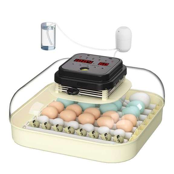 CoInceptus - 35 egg incubator with automatic egg turning and humidity ...