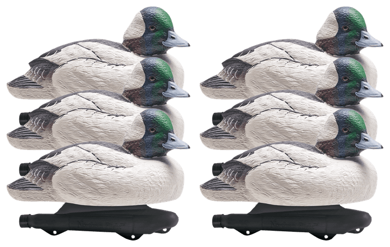 Northern Flight Bufflehead Duck Decoys - Matthews Auctioneers