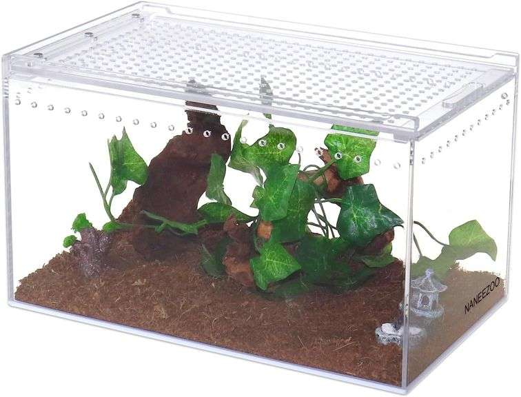 NANEEZOO Magnetic Acrylic Enclosure 10x6x6 Inch Tall Long Case Reptile ...