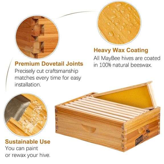 10-Frame Beehive Box Langstroth Medium Super Bee Box for Sale Wax ...