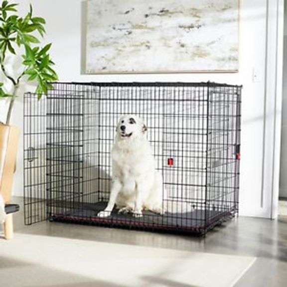 Frisco Heavy Duty Enhanced Lock Double Door Wire Dog Crate, Fold ...