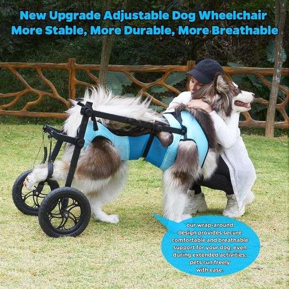 celestaura Dog Wheelchair for Back Legs, Dog Wheelchair Cart, Doggy/cat Wheelchairs with ...