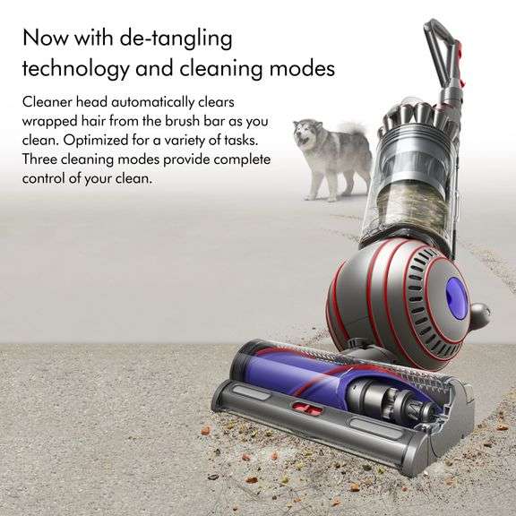 Dyson Bagless Pet Upright Vacuum Cleaner with HEPA Filter - Matthews ...
