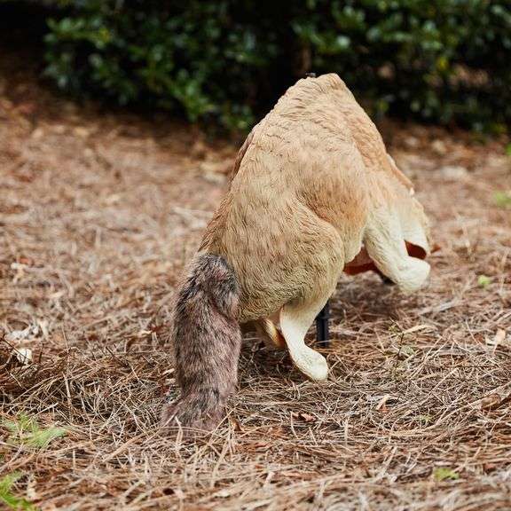 Bird-X Coyote Predator Bird Repellent - Matthews Auctioneers