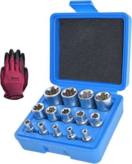 15pcs External Torx Plus Socket Set, E4-E24, GJ-108 - Matthews Auctioneers