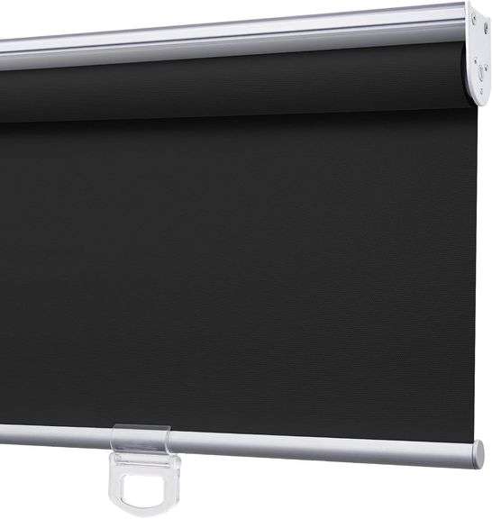 Pasoun Blackout Roller Shades Cordless Roller Blinds with Heat ...