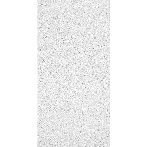 (2 Cases) Random Textured 2 ft. X 4 ft. Lay-in Ceiling Tile (80 sq. Ft ...