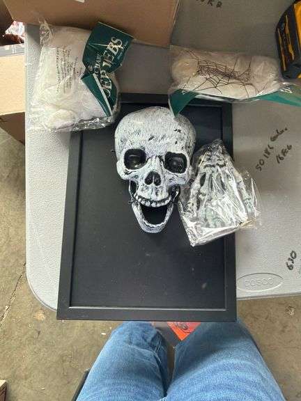 HOMELEX Skeleton Frame Spider Webs Halloween Decorations Light-Up LED ...