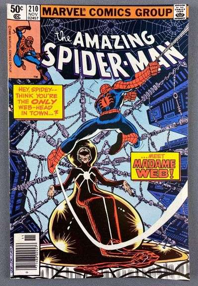 Marvel Comics The Amazing Spider-Man No. 210 Comic Book - Matthew ...