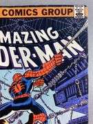 Marvel Comics The Amazing Spider-Man No. 210 - Matthew Bullock Auctioneers