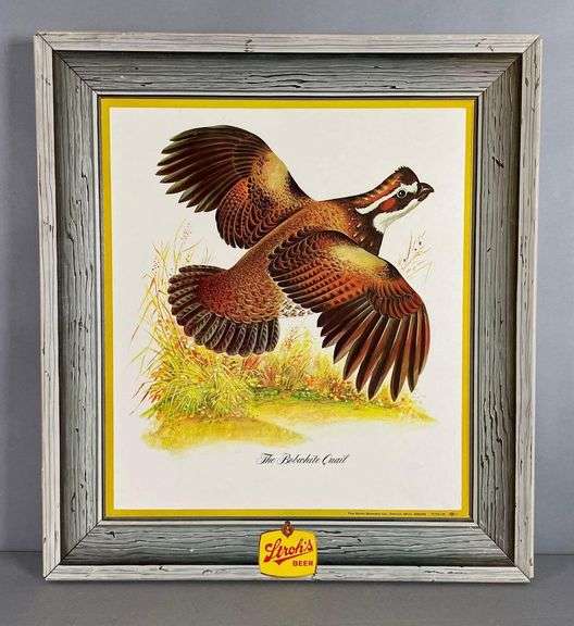 Strohs Beer Bobwhite Quail Cardboard Advertising Sign - Matthew Bullock ...