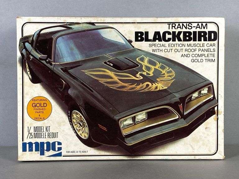 MPC Pontiac Trans-Am Blackbird Plastic Model Kit - Matthew Bullock ...