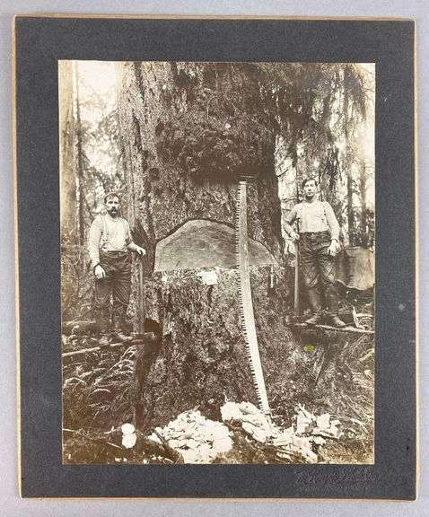 Antique Loggers Posing With Tree Photograph - Matthew Bullock Auctioneers