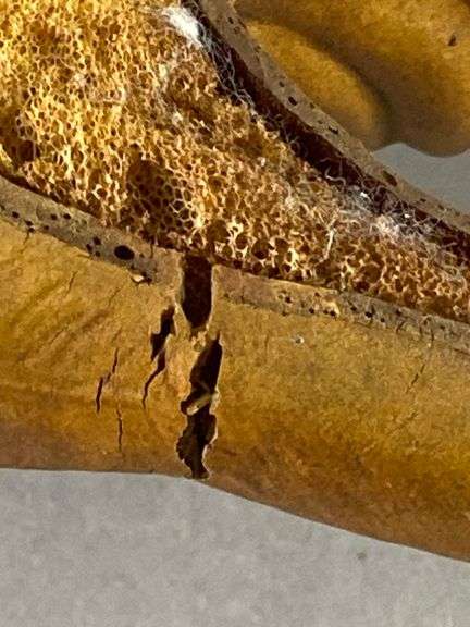 The X-Files Life Size Alien Prop Figure - Matthew Bullock Auctioneers