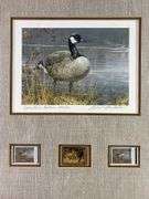 Signed Robert Bateman National Fish and Wildlife Foundation Stamp ...