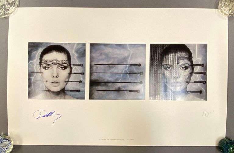 1990 Debbie Harry Koo Koo Cover Art Lithograph Print Poster - Matthew ...