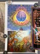 Group of 4 LSD and Alice in Wonderland Posters - Matthew Bullock ...