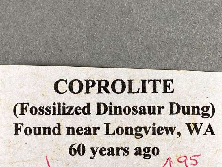 Group of Coprolite (Fossilized Dinosaur Dung) - Matthew Bullock Auctioneers