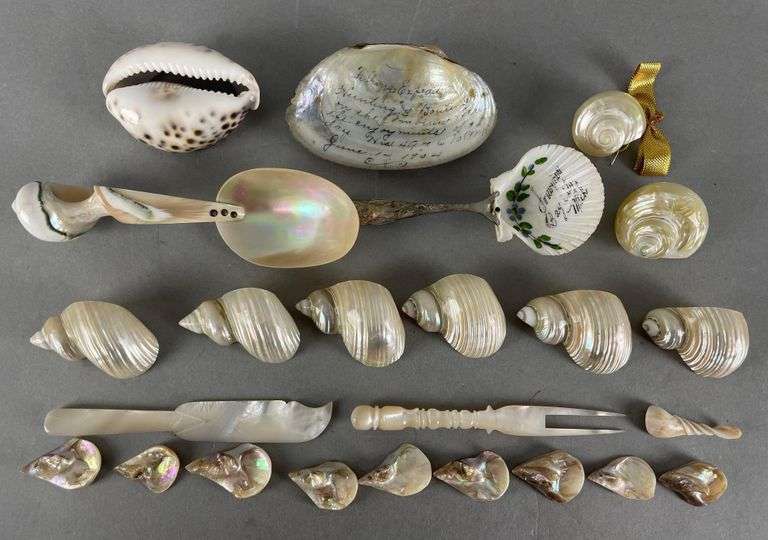 Group of Polished Shells and More - Matthew Bullock Auctioneers