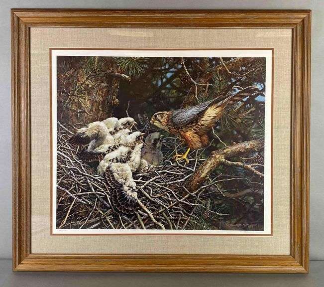 1984 Carl Brenders Merlins at the Nest Lithograph Print - Matthew ...