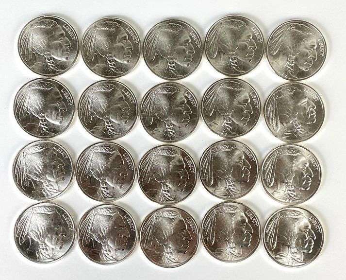 Group of 20 US Buffalo Native American 1oz .999 Fine Silver Coins ...
