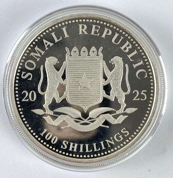 2025 Somali Republic 100 Shillings African Wildlife Elephant 1 oz .999 ...