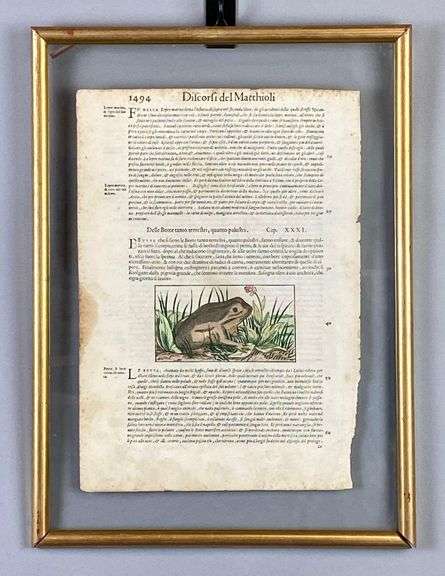 Pietro Andrea Mattioli Discorsi del Matthioli Book Page - Matthew ...