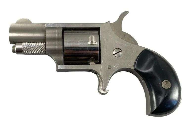 North American Arms Model NAA 22-S .22 Cal Single Action Revolver ...