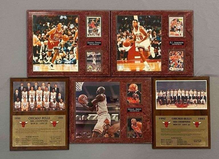 Group of NBA Chicago Bulls Player and Team Plaques - Matthew Bullock ...