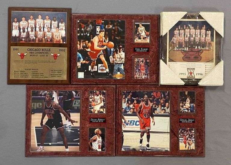 Group of NBA Chicago Bulls Player and Team Plaques - Matthew Bullock ...