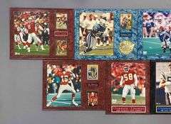 Group of 8 NFL Iconic Player Plaques - Matthew Bullock Auctioneers