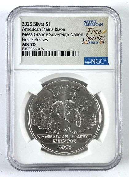 NGC Graded 2025 US $1 1 oz .999 Silver American Plains Bison Coin MS 70 ...