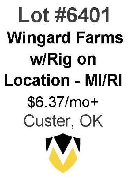 Wingard Farms 1HX w/RIG on Location Completing 2 New Wells - Mid ...