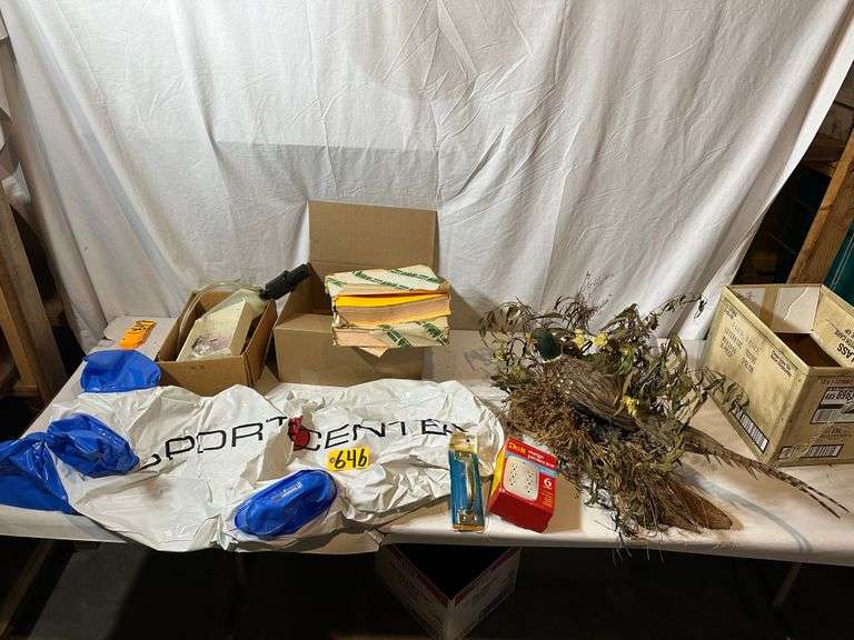 Pheasant Mount, SportsCenter Blimp, Colored Paper, Surge Protector ...