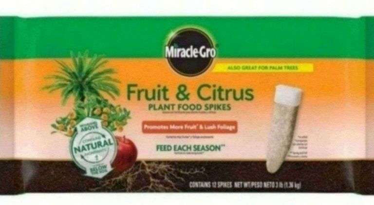 Miracle-Gro Fruit and Citrus Plant Food Spikes 12-Count Tree Food ...