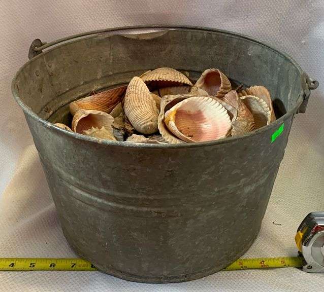 Galvanized Bucket with Sea Shells 14”(bucket has some dents) - Metzger ...
