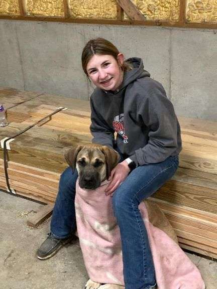 Renz, Elizabeth, Grade: 9, Parents: Rex and Beverly Renz, Projects ...