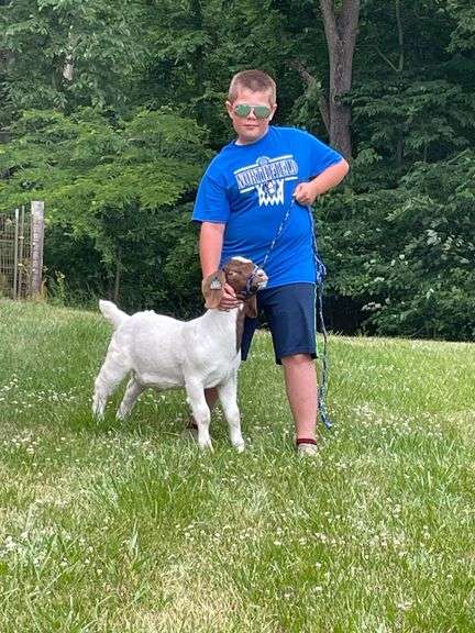 Rice, Colton, Grade: 5, Parents: Cory & Erin Rice, Projects: Rabbits ...