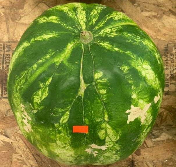 Seeded Watermelon - Metzger Property Services, LLC